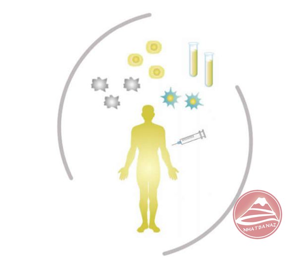 Điều trị ung thư bằng liệu pháp miễn dịch tế bào - Nhatbanaz
